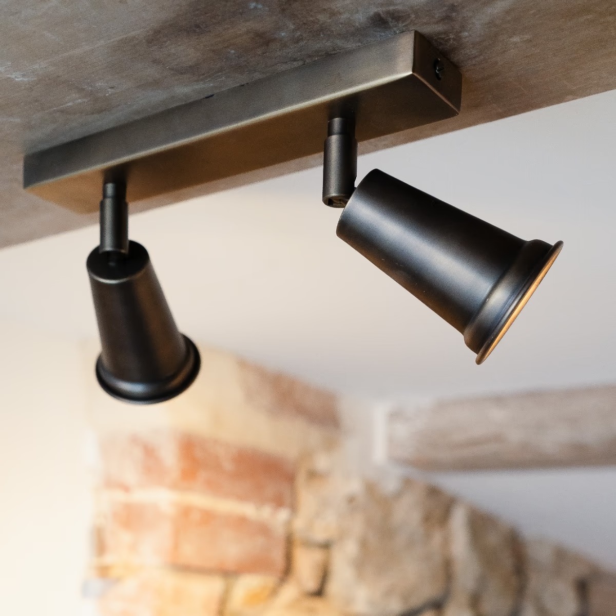 Pimlico Double Spot Light