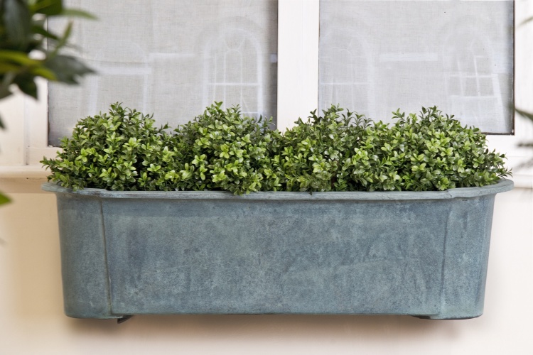 Provence Window Box